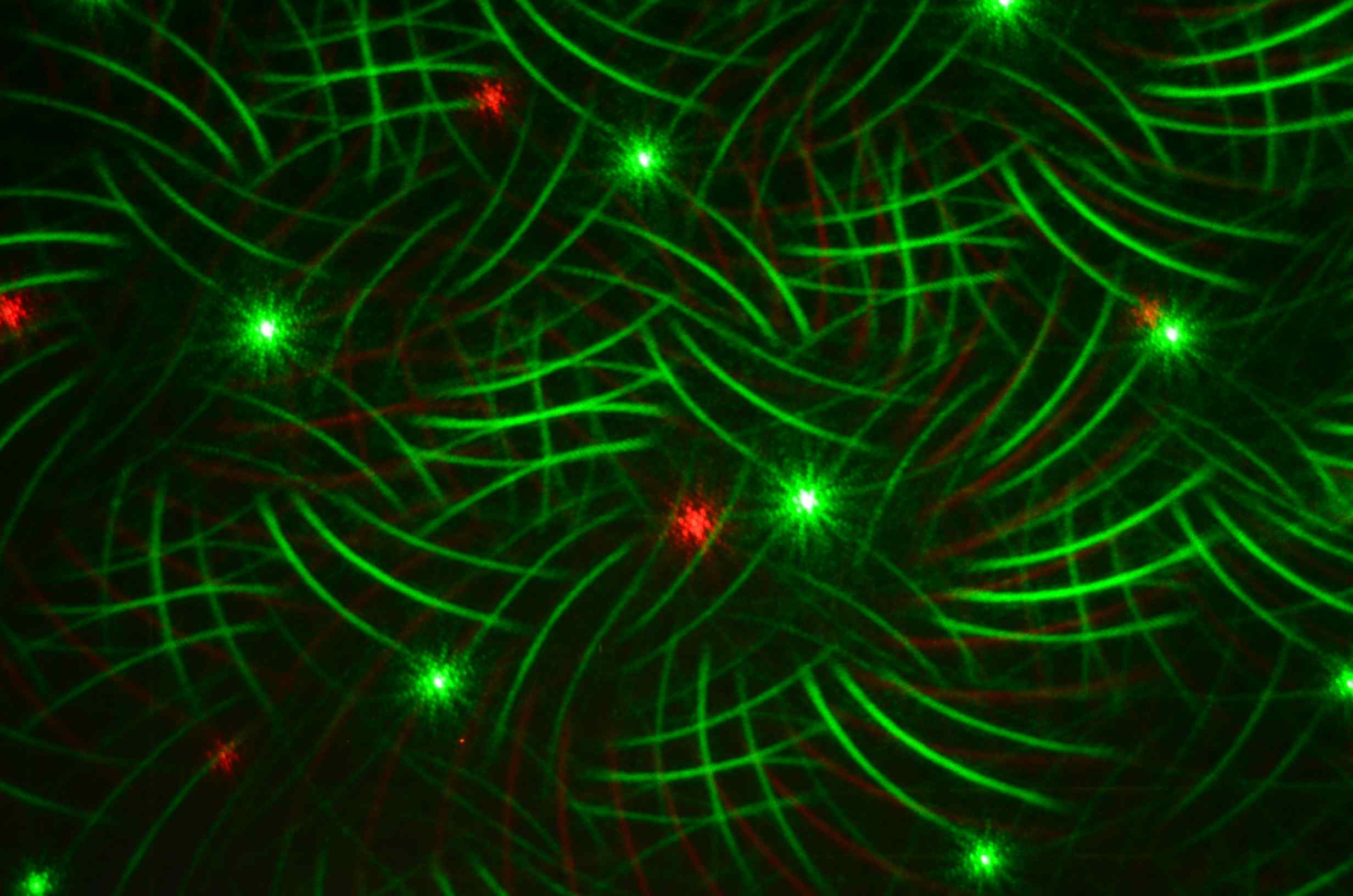 Luci laser discoteca - diversi modelli, a partire da 54